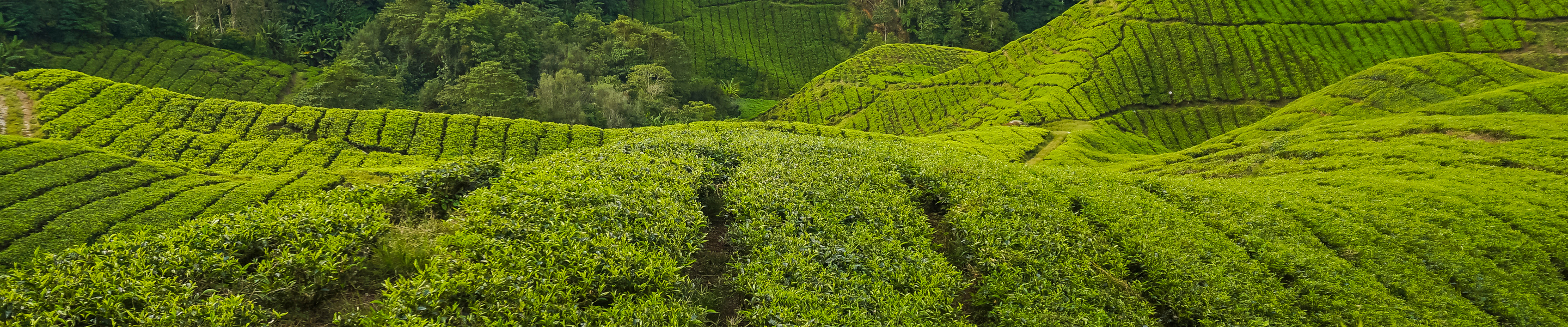 FAQs pulvérisateurs Inter, questions fréquemment posées