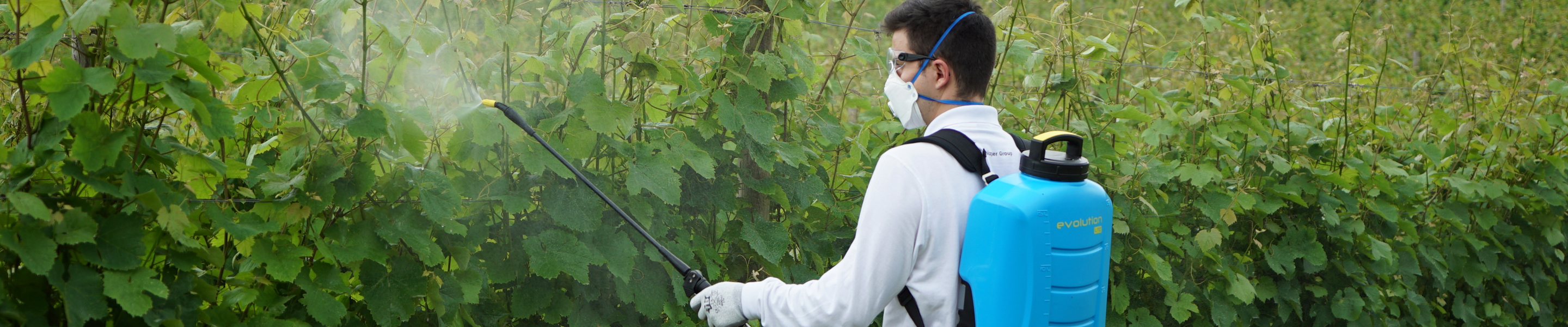 Inter electric sprayers, electric battery sprayers