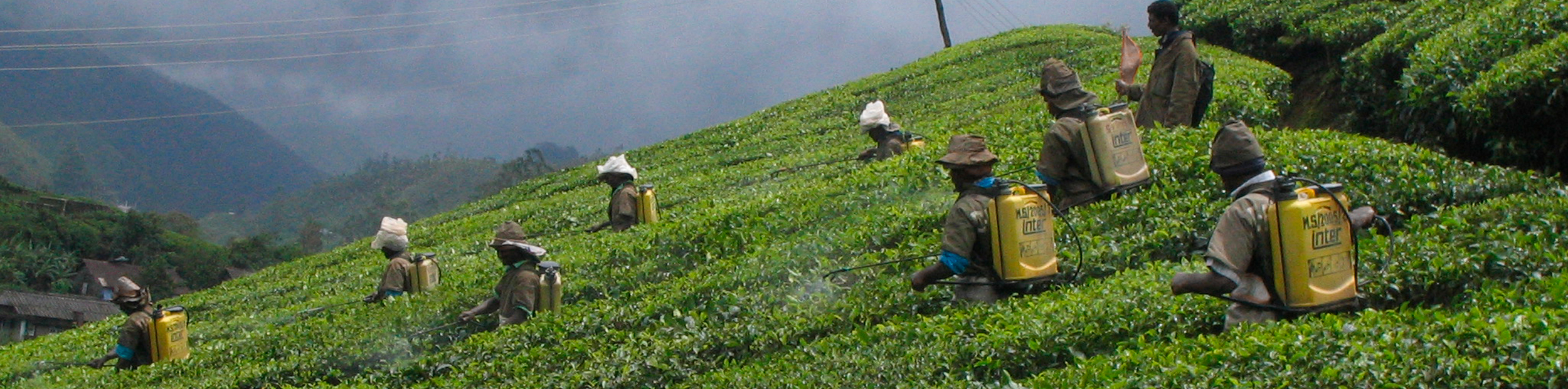 Become an official distributor of Inter professional sprayers